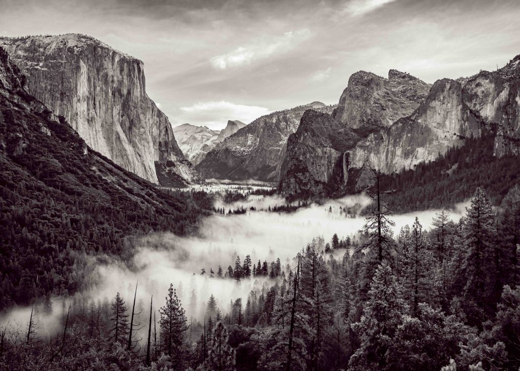 Yosemite Valley: Landscape Photography - Kevin Neilson Photography